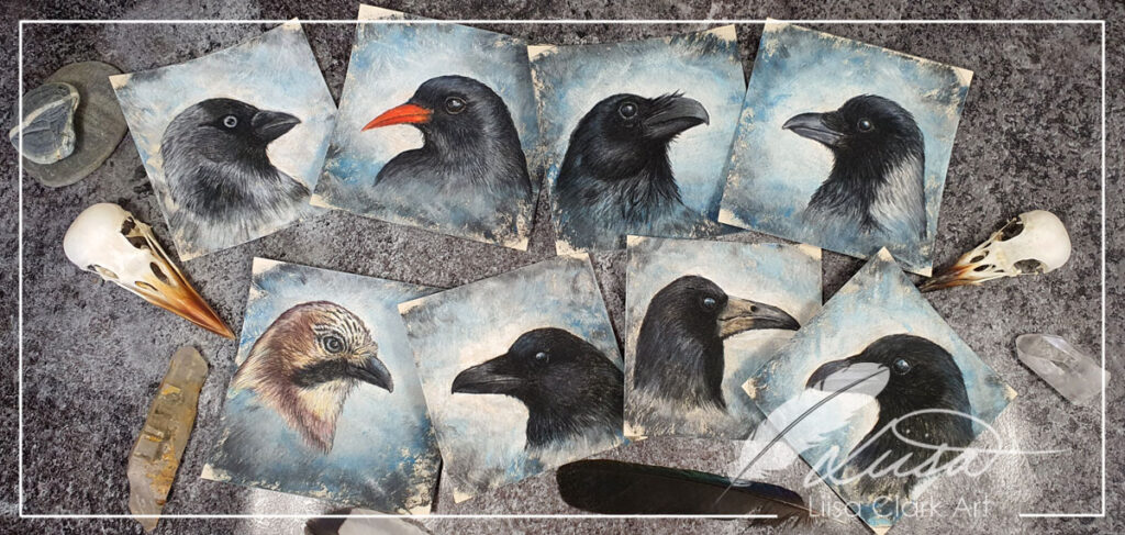 The Corvid Portrait Series : Liisa Clark Art